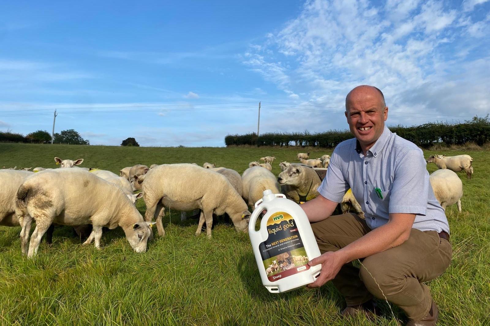 Liquid Gold Sheep is proven to boost mid-season lamb numbers