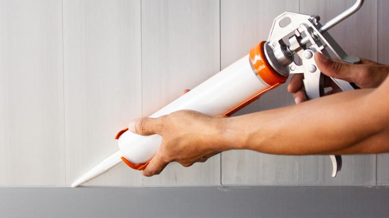 Can You Prevent Stink Bugs From Invading Your Home? Here's What We Found