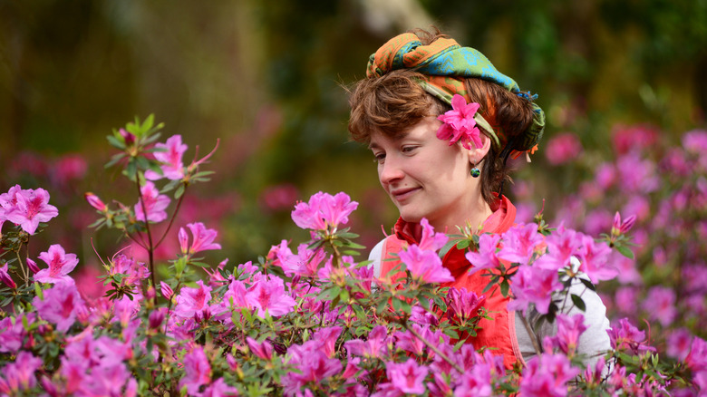 Don't Ignore Your Azaleas This Fall - How To Ensure They'll Thrive ...