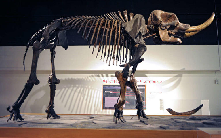 Alternate historic must-sees in upstate New York