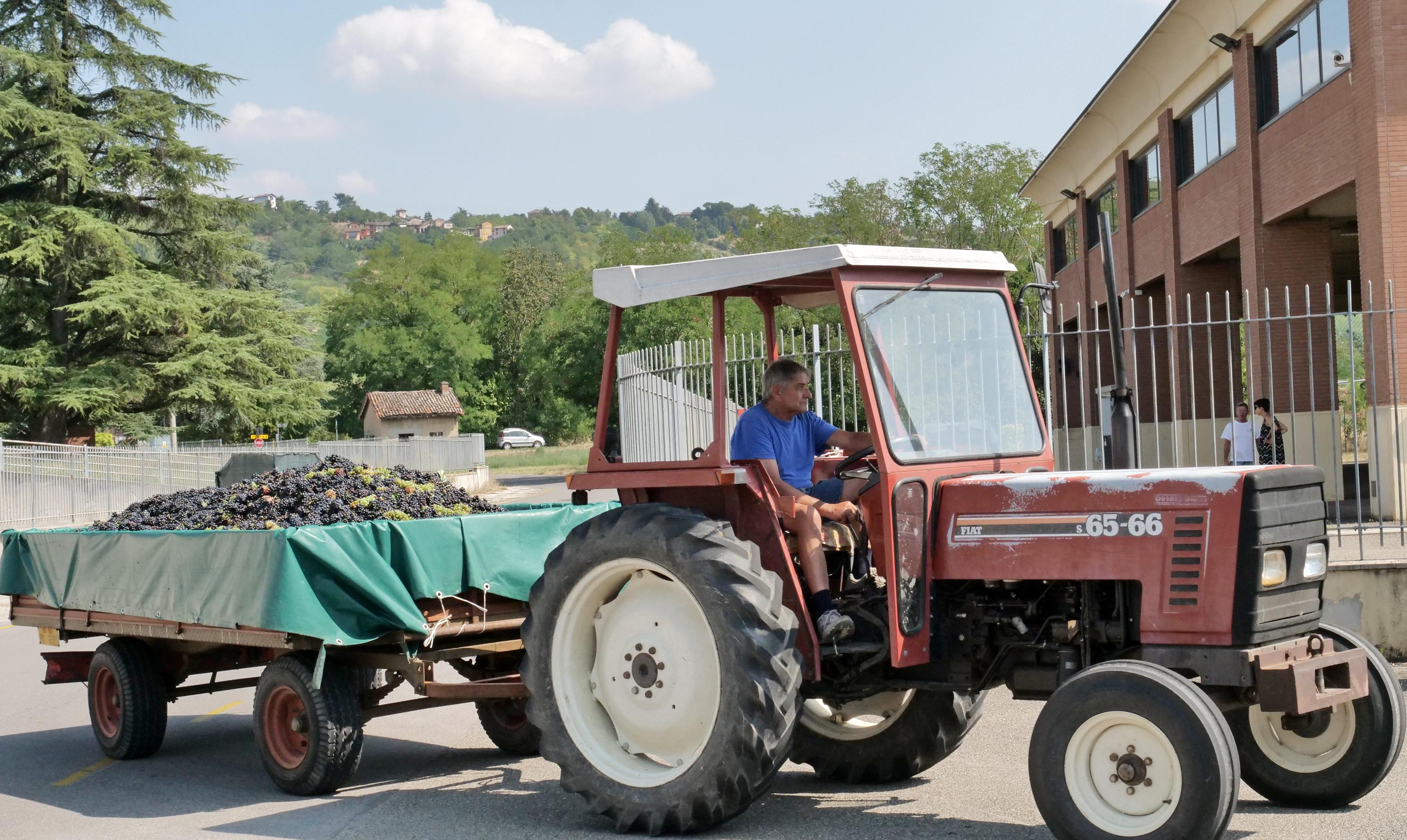 “Crisi finanziaria irreversibile”: liquidazione coatta per Terre d ...