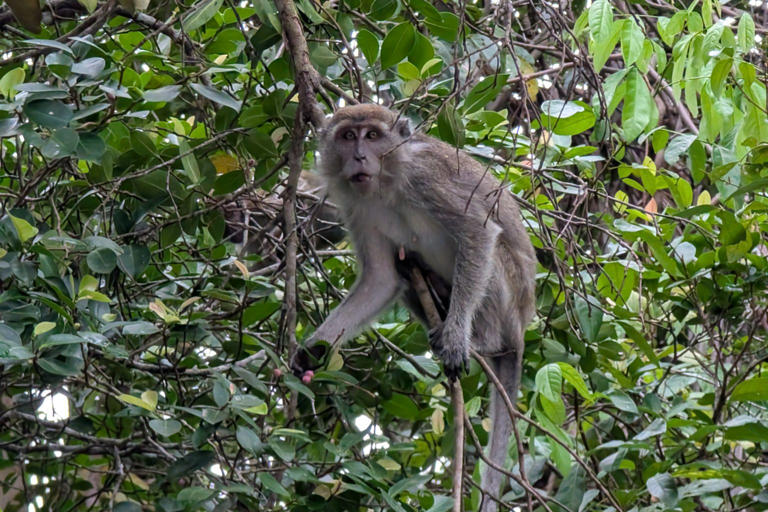 In Kota Kinabalu, a fragile balance between sustainability and tourism