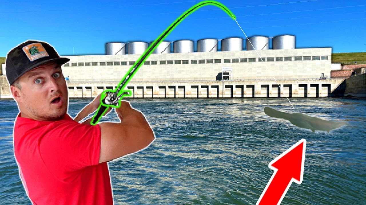 Battling 100 pounds of prehistoric spillway fish