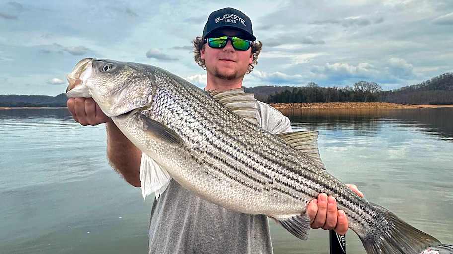 Chasing Freshwater Stripers in the Southeast: Proven Tips, Tactics, and ...