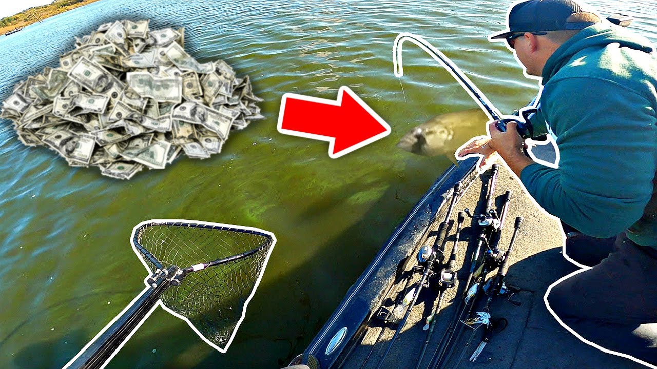 Winning championship tournament with impossible catch amazes