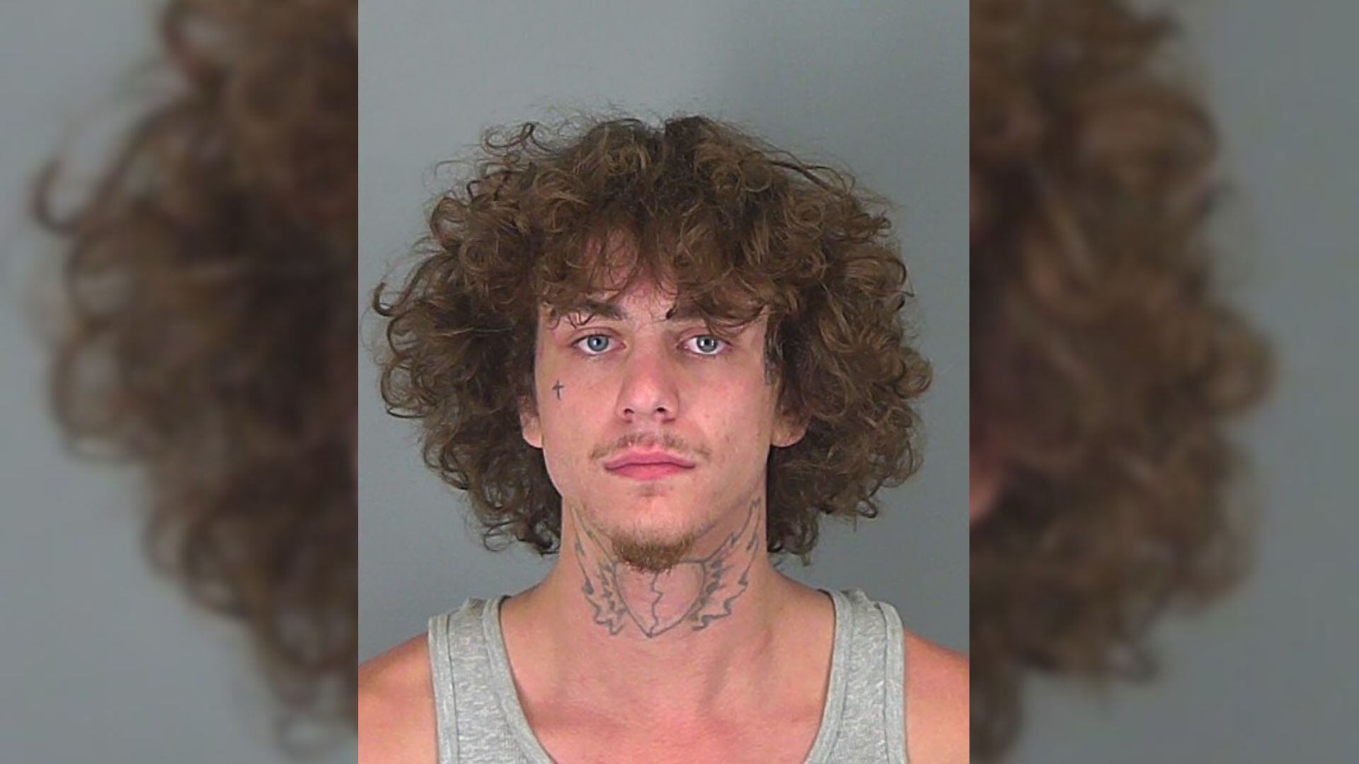 Bond granted for man arrested for domestic violence in Greenville days ...