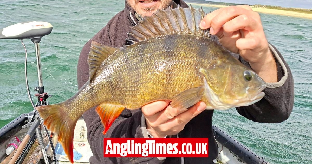 Epic 1500-mile trip nets angler a huge perch