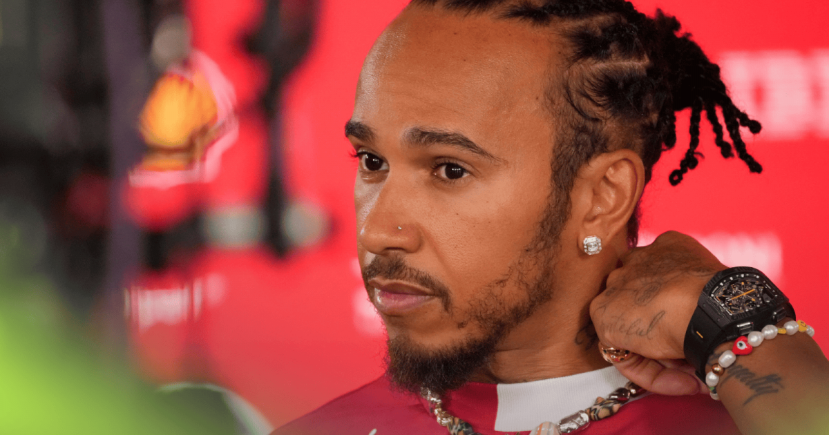 Lewis Hamilton receives consoling message after latest Roscoe update
