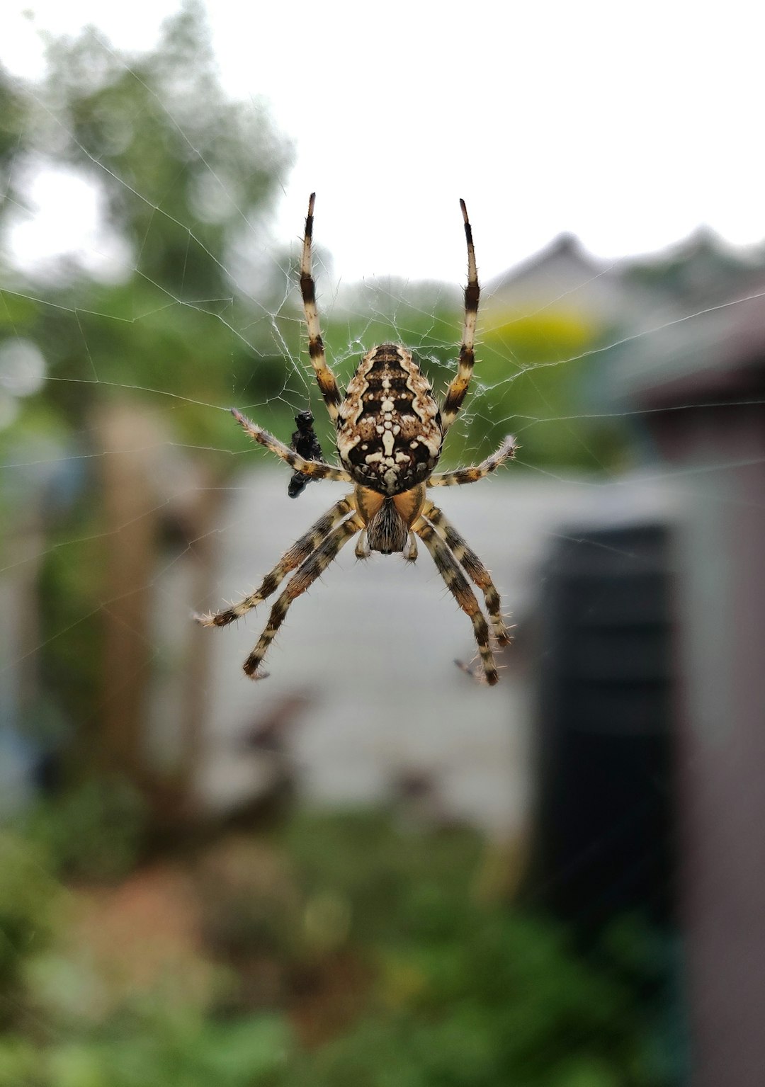 15 Phobias Ranked by How Rare They Are, According to Experts
