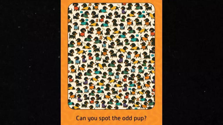 Test your focus: Spot the odd dog hidden among the pack