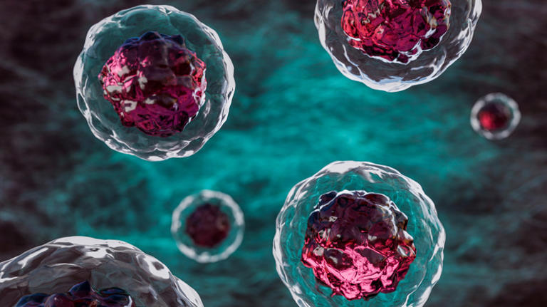 10 Things That May Be Able To Reverse Aging, According To Science