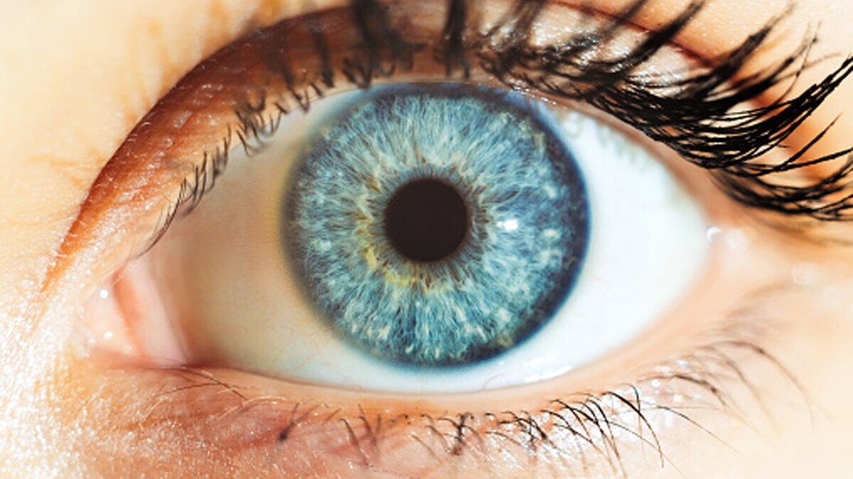 19 Facts Both Surprising and Informative