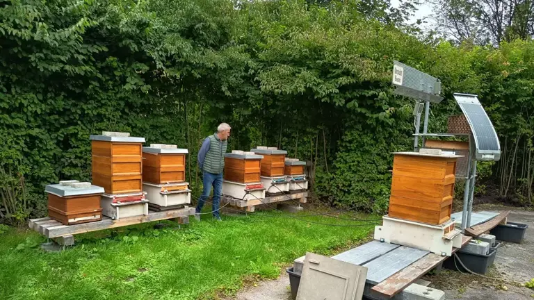 Why Nvidia's Blueprint might be the best tool you'll use for 3D modelling