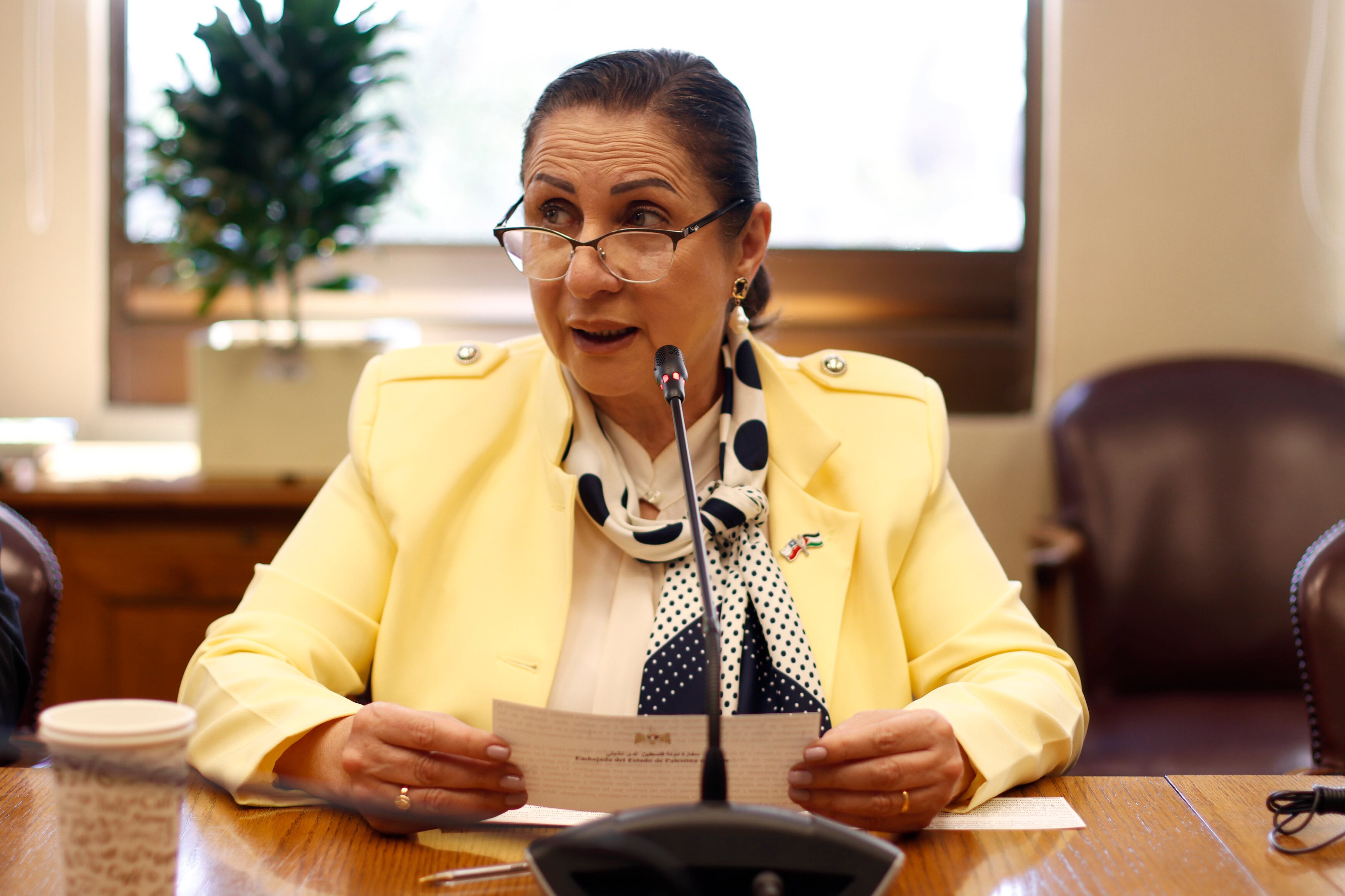 Vera Baboun, embajadora palestina: “El reconocimiento del Estado ...