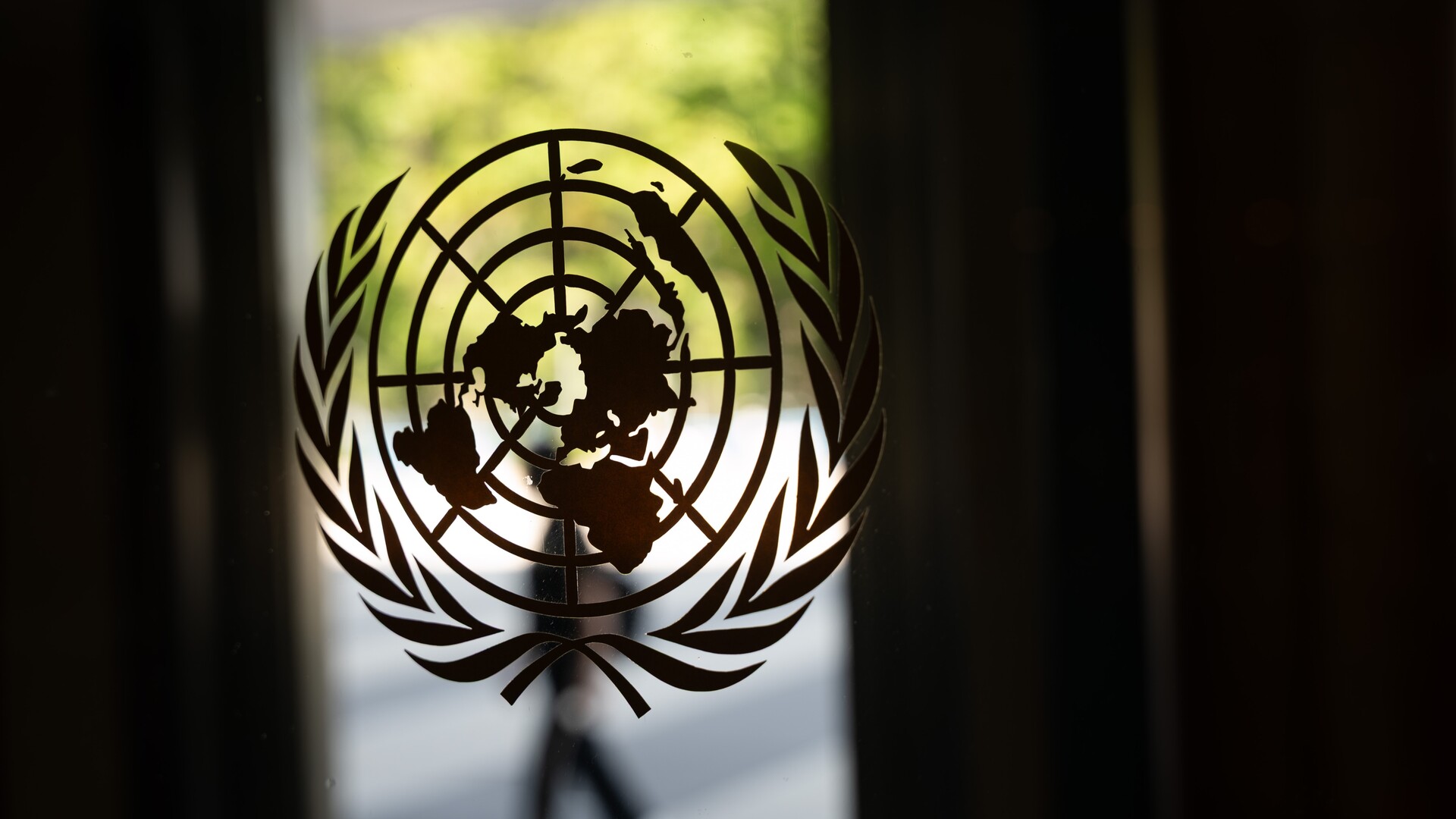 United Nations CEDAW documentation ‘never mentioned trans women’