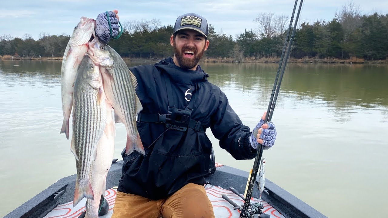 Smashing striped bass for a month of epic topwater fishing