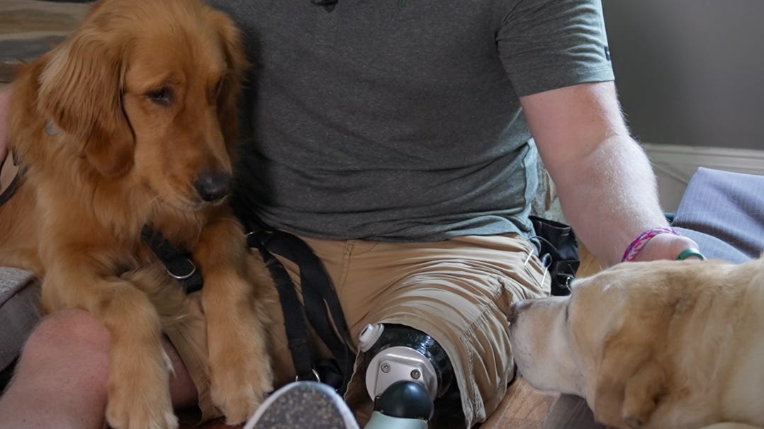 Yes, you can adopt a retired guide, police or TSA dog