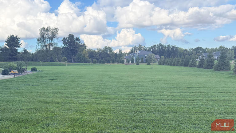 This simple lawn routine finally made my yard go green