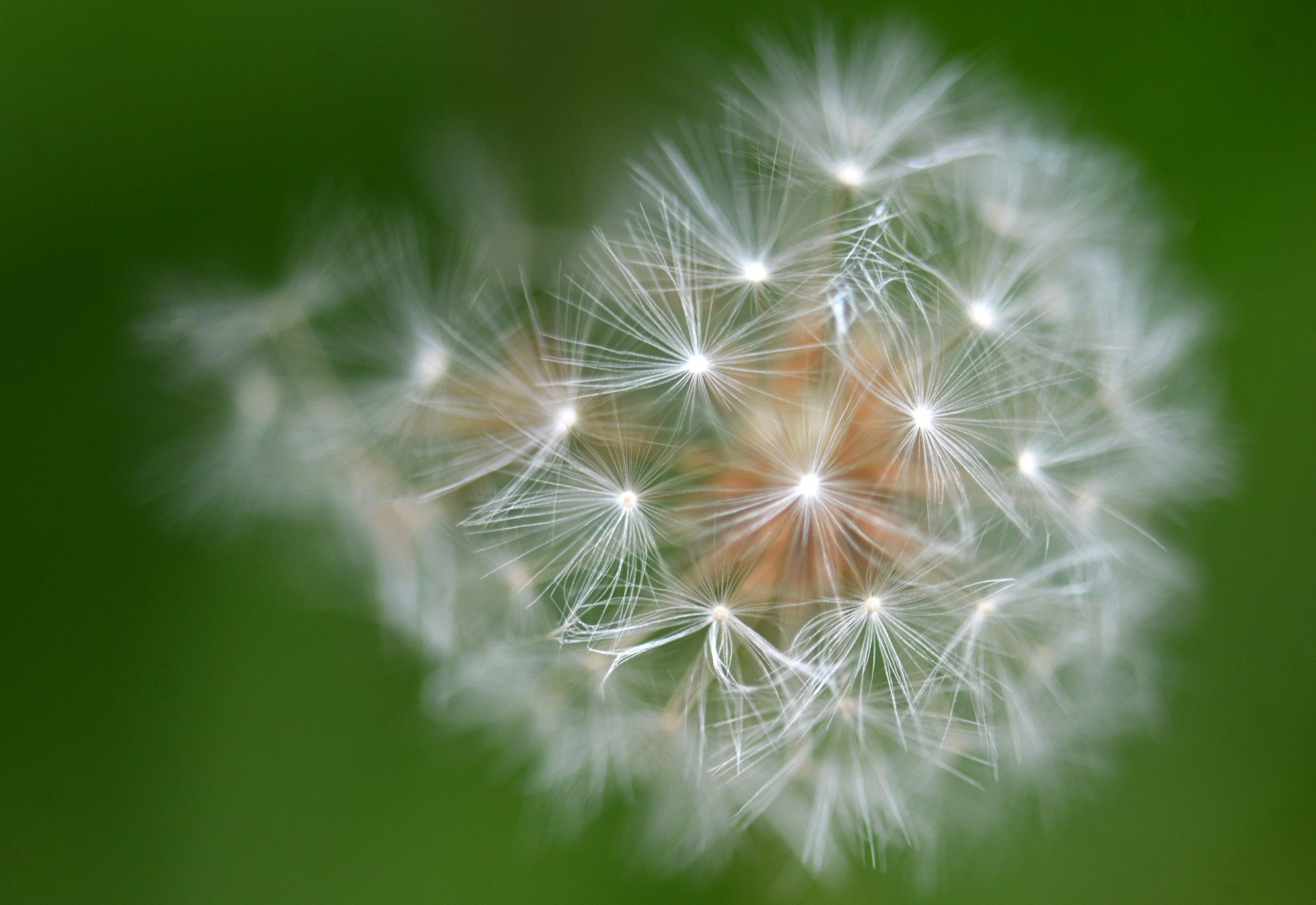 The weirdest things ever found inside the human body
