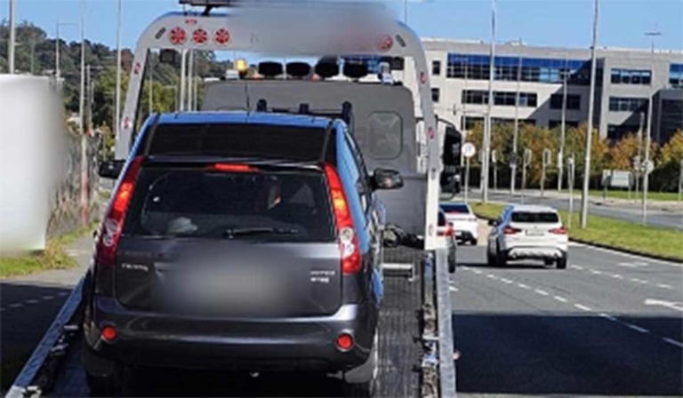 ‘It’s not that bad’ — Gardai not impressed with learner driver’s excuse ...