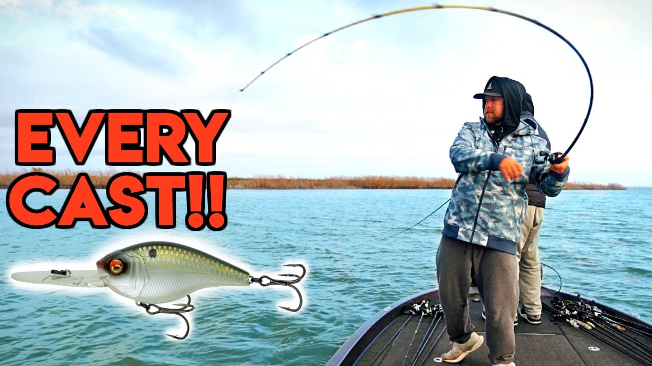 We caught pre spawn bass every cast with deep crankbaits