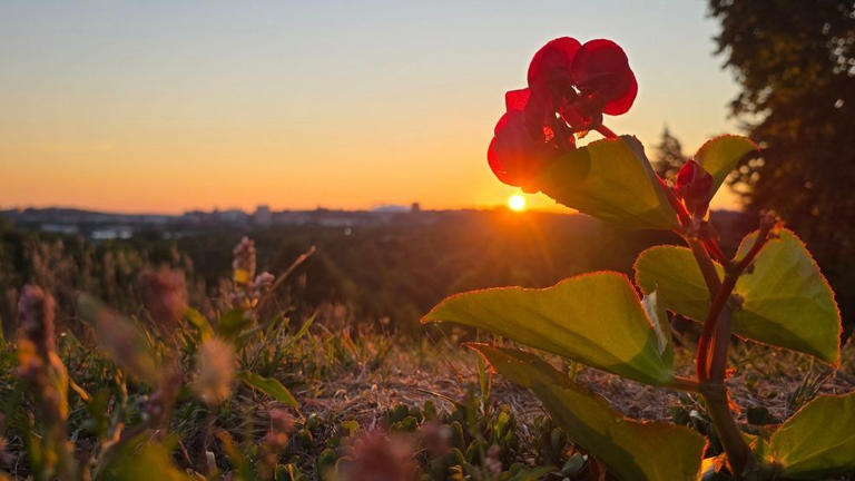 First weekend of fall will feel more like summer, quiet weather all week