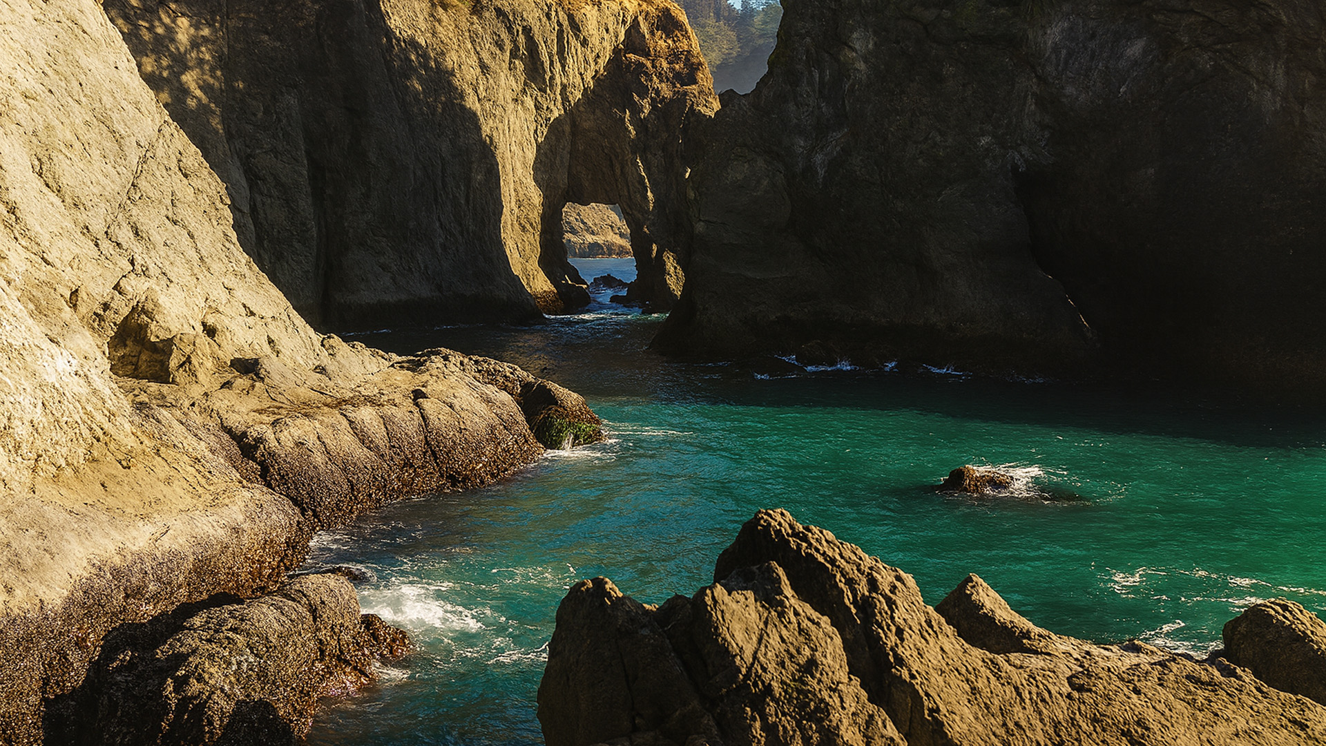 Oregon-kysten i USA – Naturlig havbue og steinete kyst i 4K