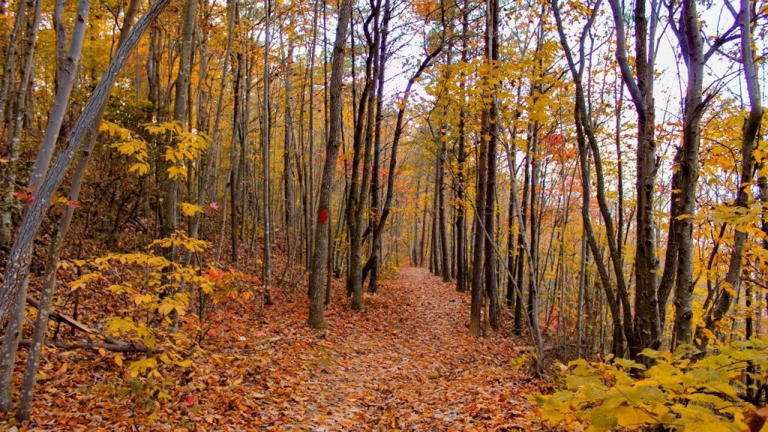 USA Today Names Roanoke One of the Best Places for Fall Colors in U.S.
