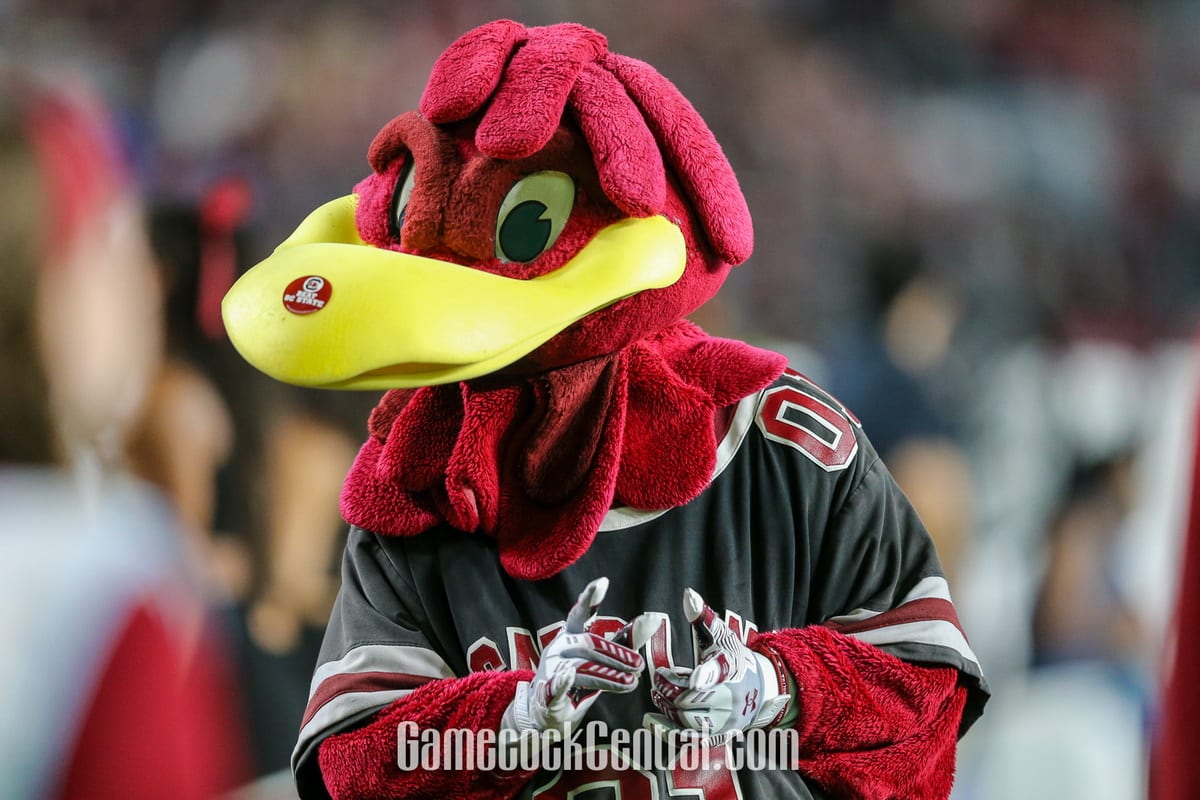 South Carolina vs. Kentucky: Live updates, how to watch, betting odds ...