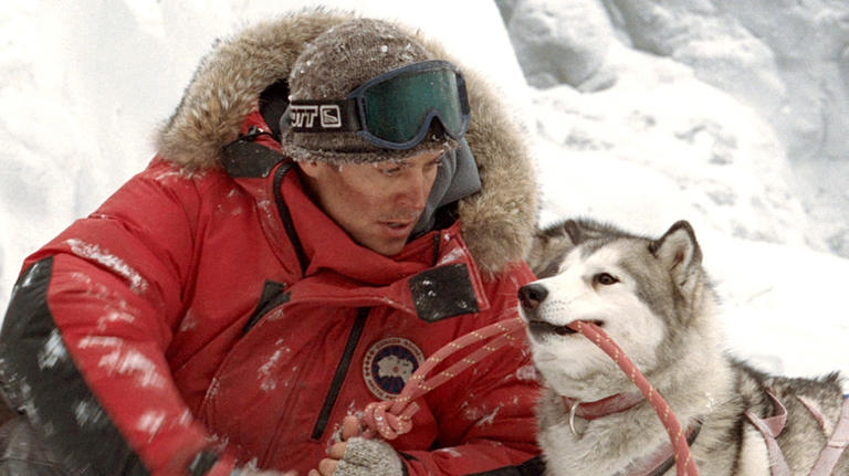 The 15 Best Survival Movies Of All Time, Ranked