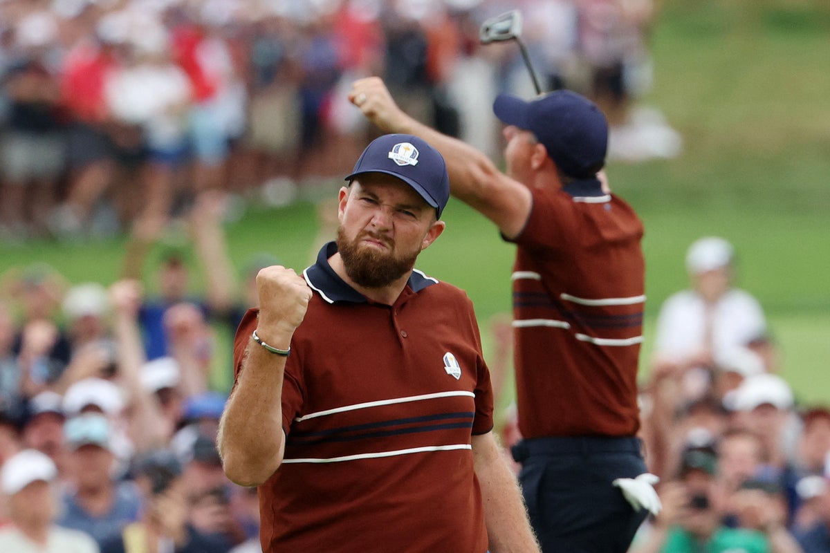Ryder Cup 2025 live: McIlroy and Lowry help Europe to brink of glory ...