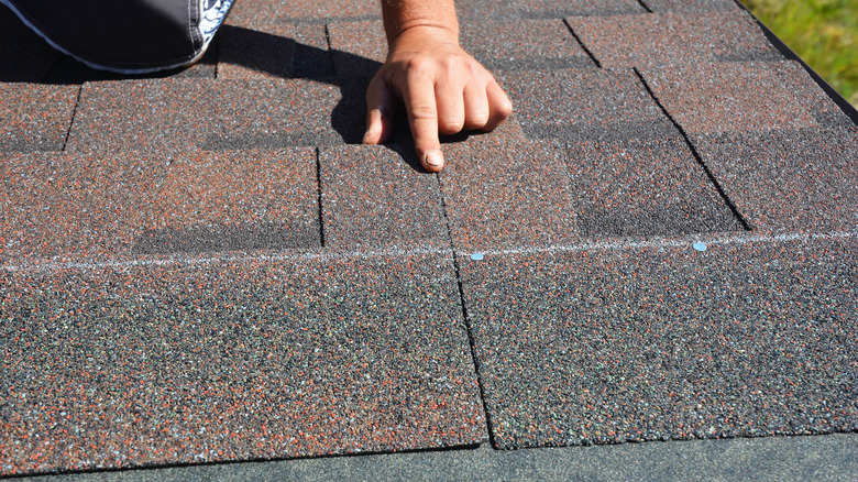Asphalt Vs. Fiberglass Shingles: Which Is Better?