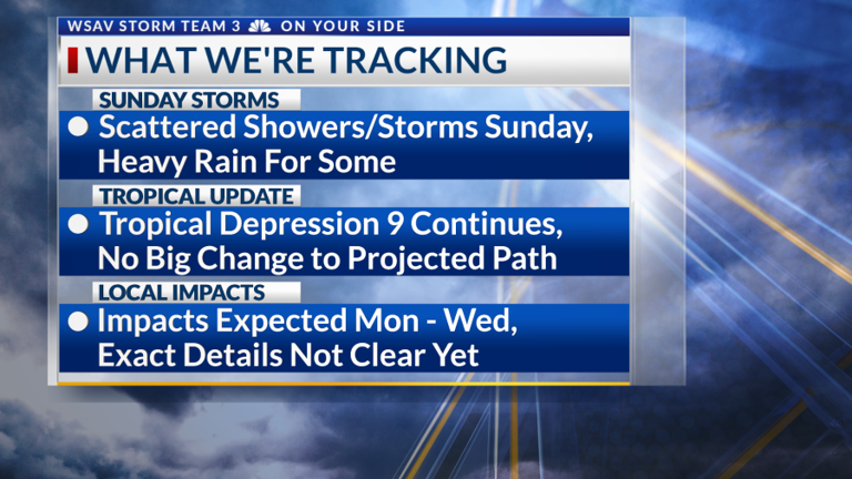 Storm Team 3: More storms Sunday, tracking the tropics