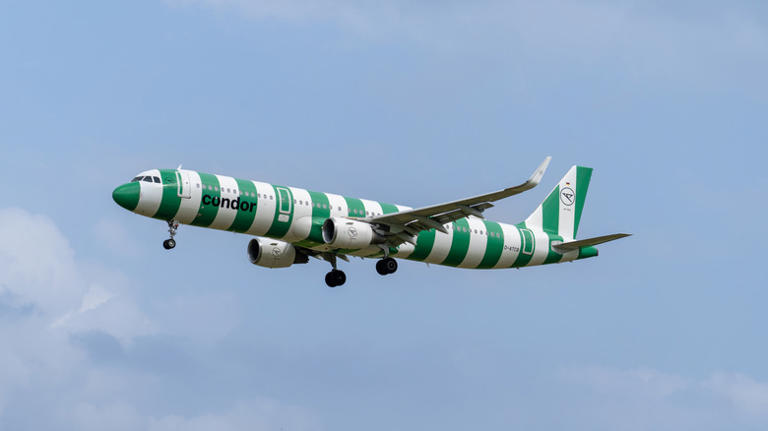 Travelers Agree That Flying With This European Airline Is A Regrettable ...