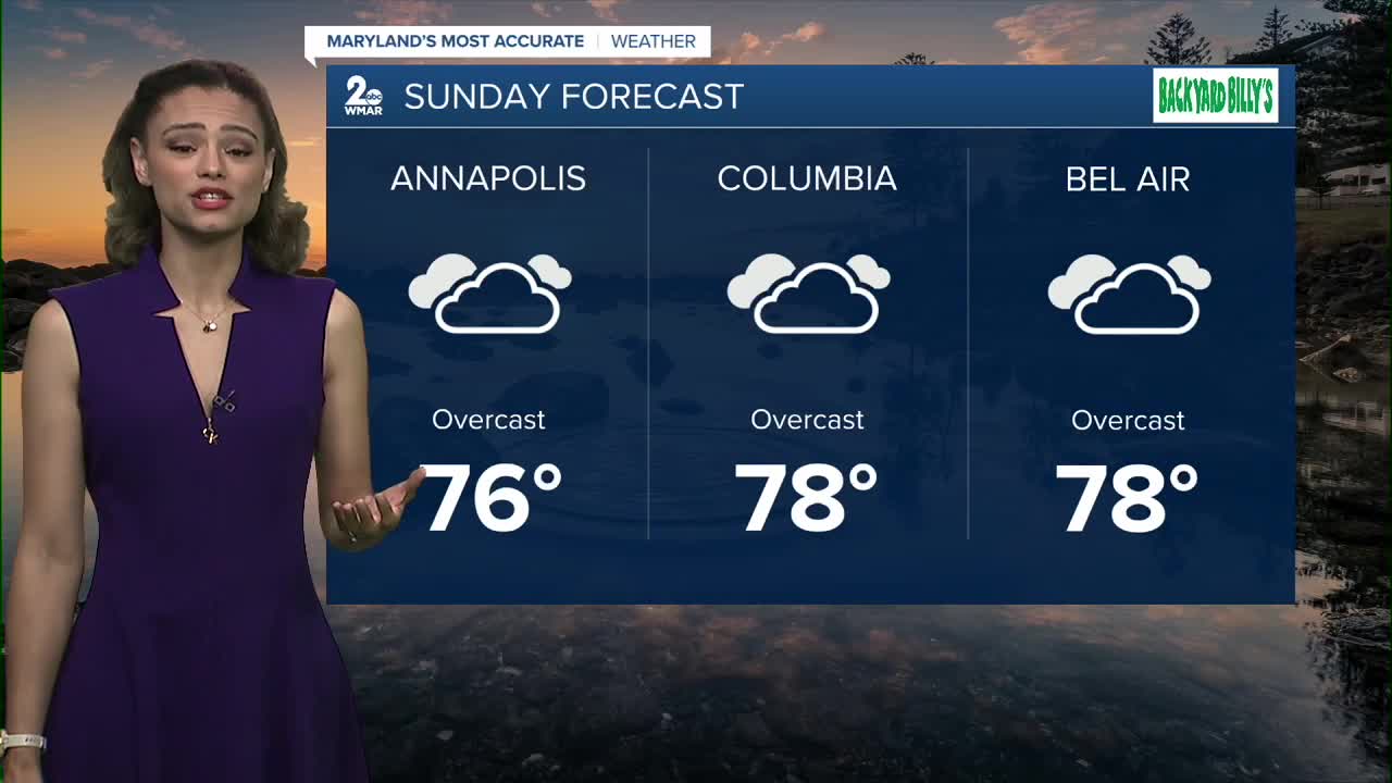 Sunshine returns for Sunday