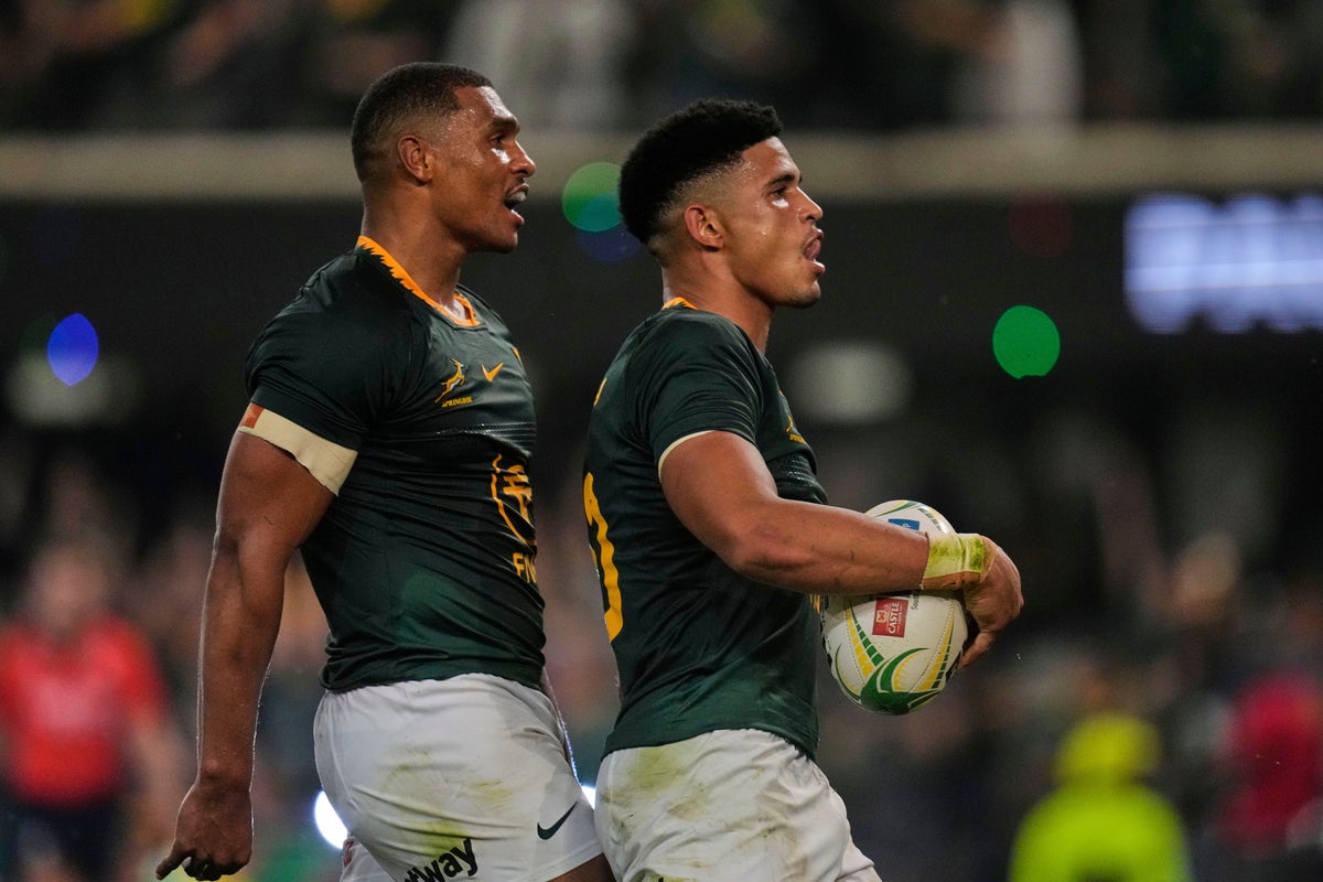 South Africa v Argentina live: Springboks thrash Pumas behind record ...