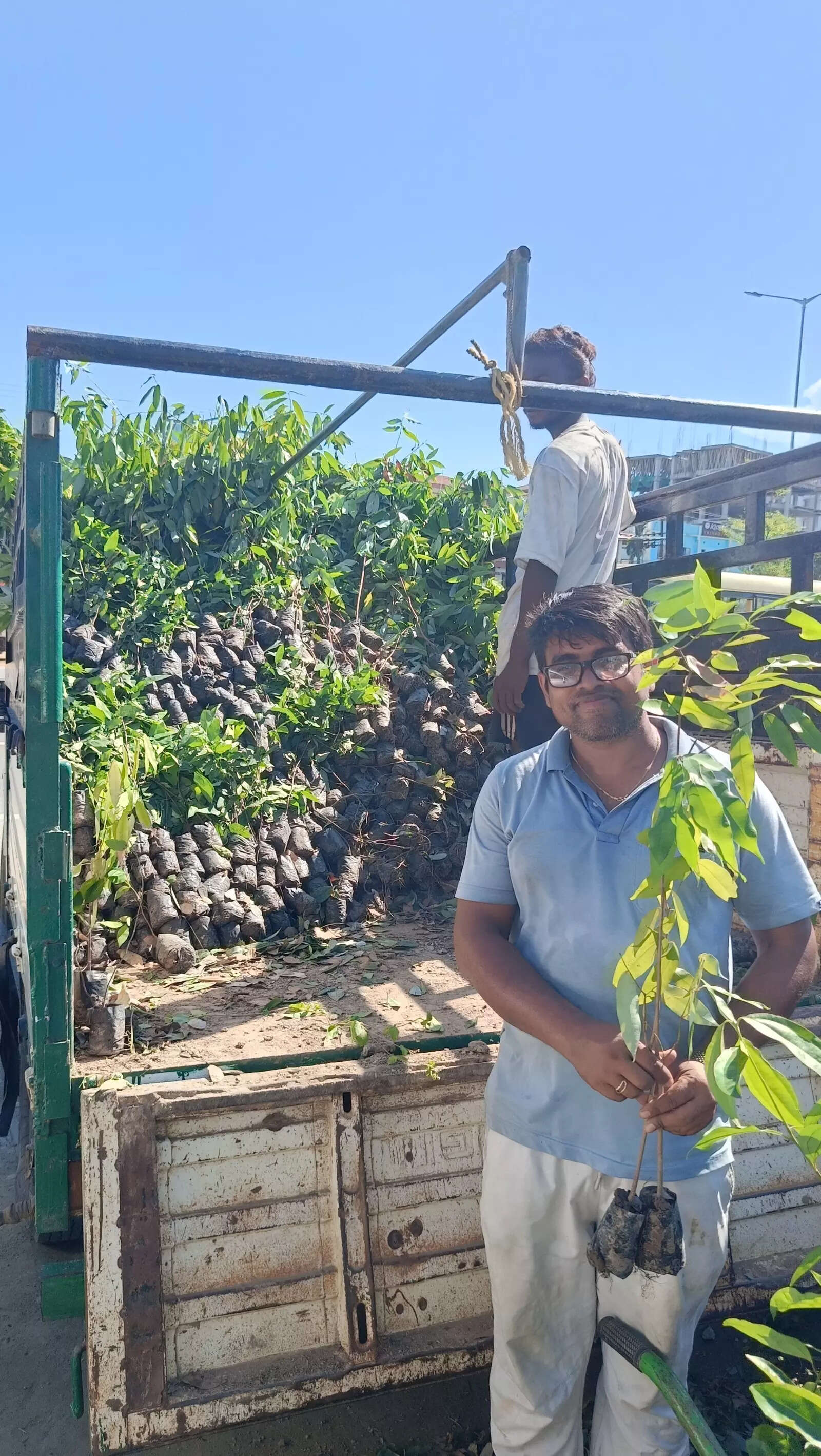 Nahor sapling sales rise in Assam as fans honour Zubeen