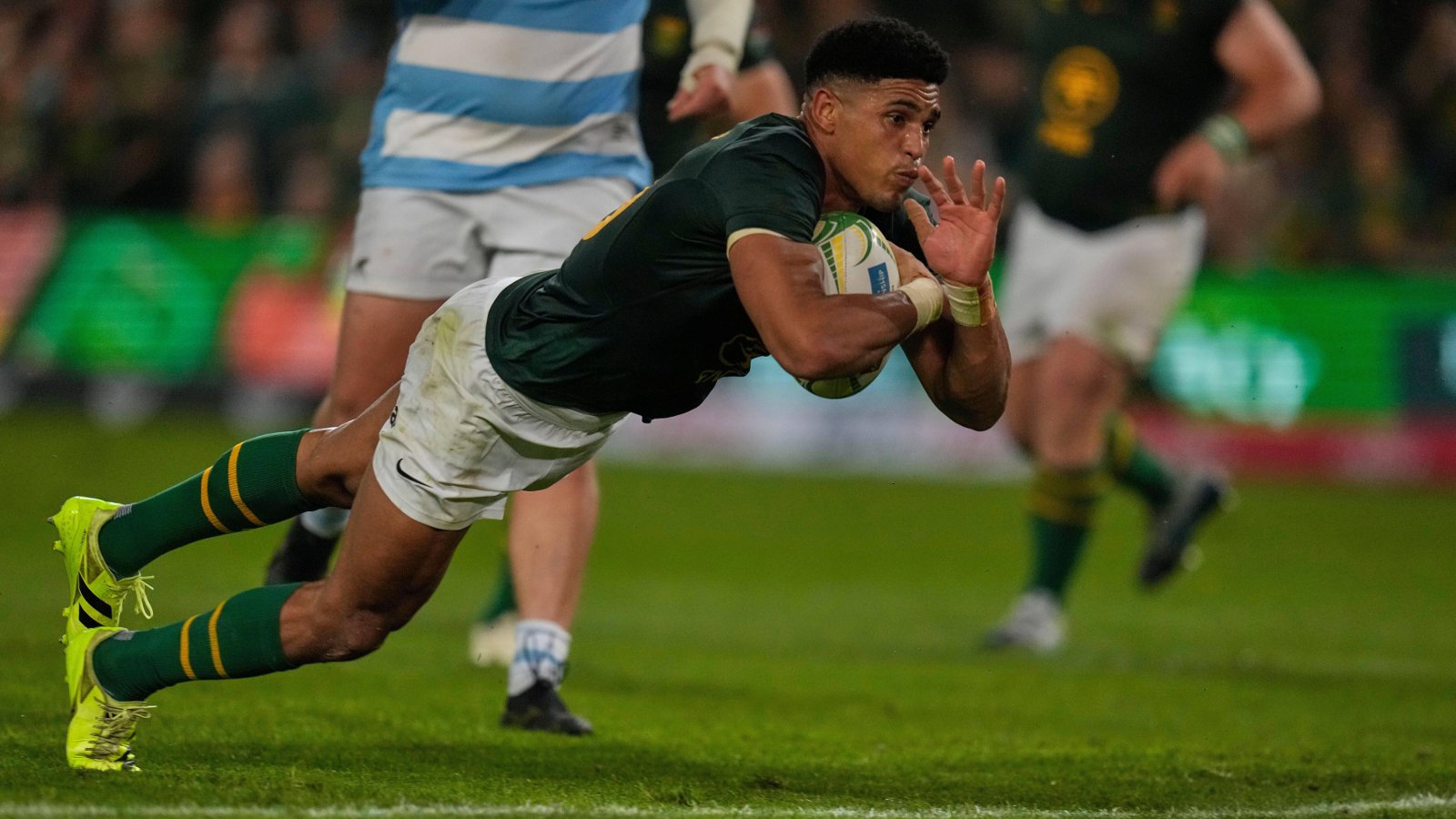 Sacha Feinberg-Mngomezulu the hero as Springboks cruise to emphatic ...