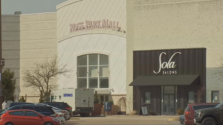 Temporary store brings Disney to life inside Ross Park Mall