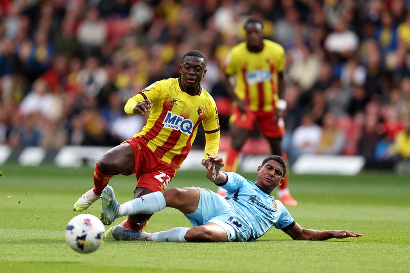 Second half display denies Hull City a rare Watford victory as Tigers ...