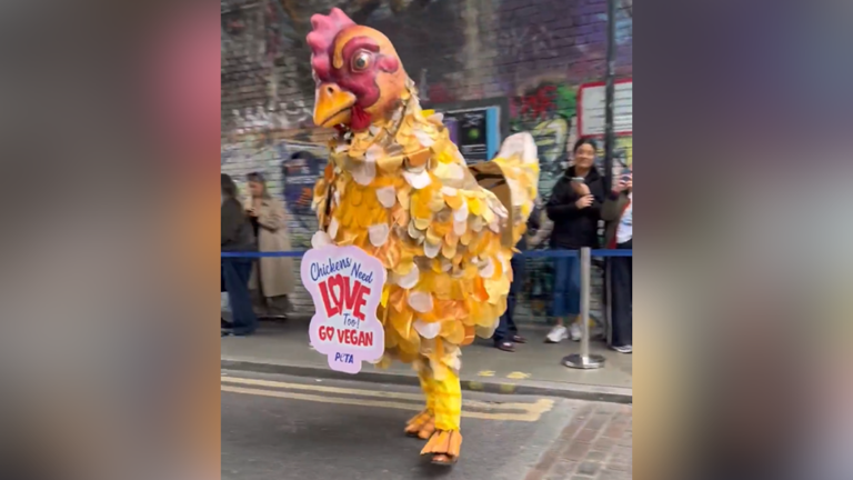 PETA activist crashes ‘Chicken Shop Date’ host’s event dressed as a ...