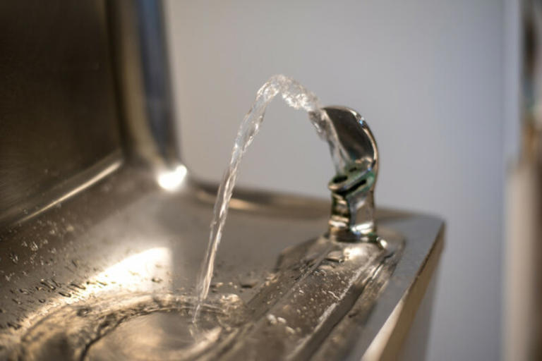 Unquenchable thirst: Why are we all so obsessed with drinking water and ...