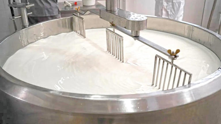 H5N1 bird flu milk | पाश्चरायझेशनमुळे दुधातील ’H5N1’ बर्ड फ्लूचे विषाणू ...