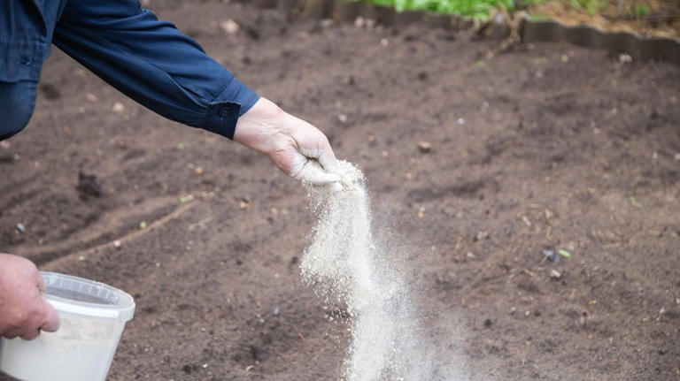 Should You Use Flour To Keep Garden Weeds Away? Here's What To Know
