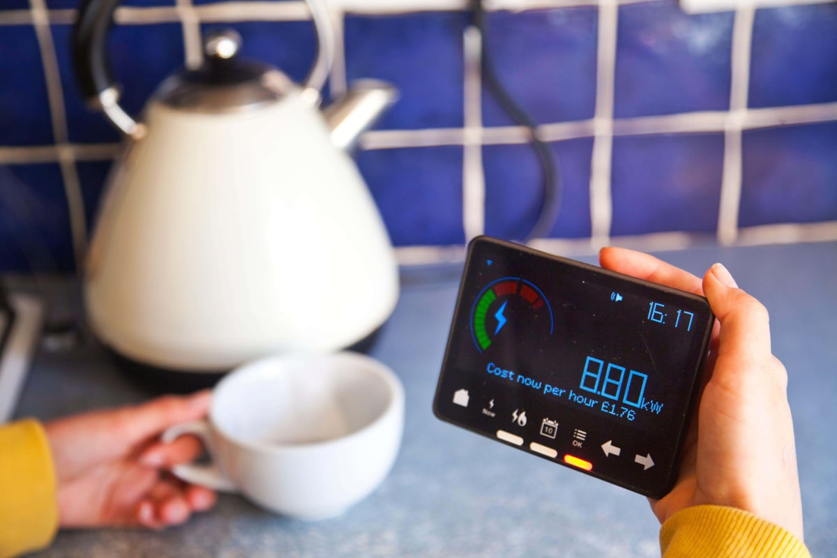 Households urged to send in meter readings ahead of latest energy price ...