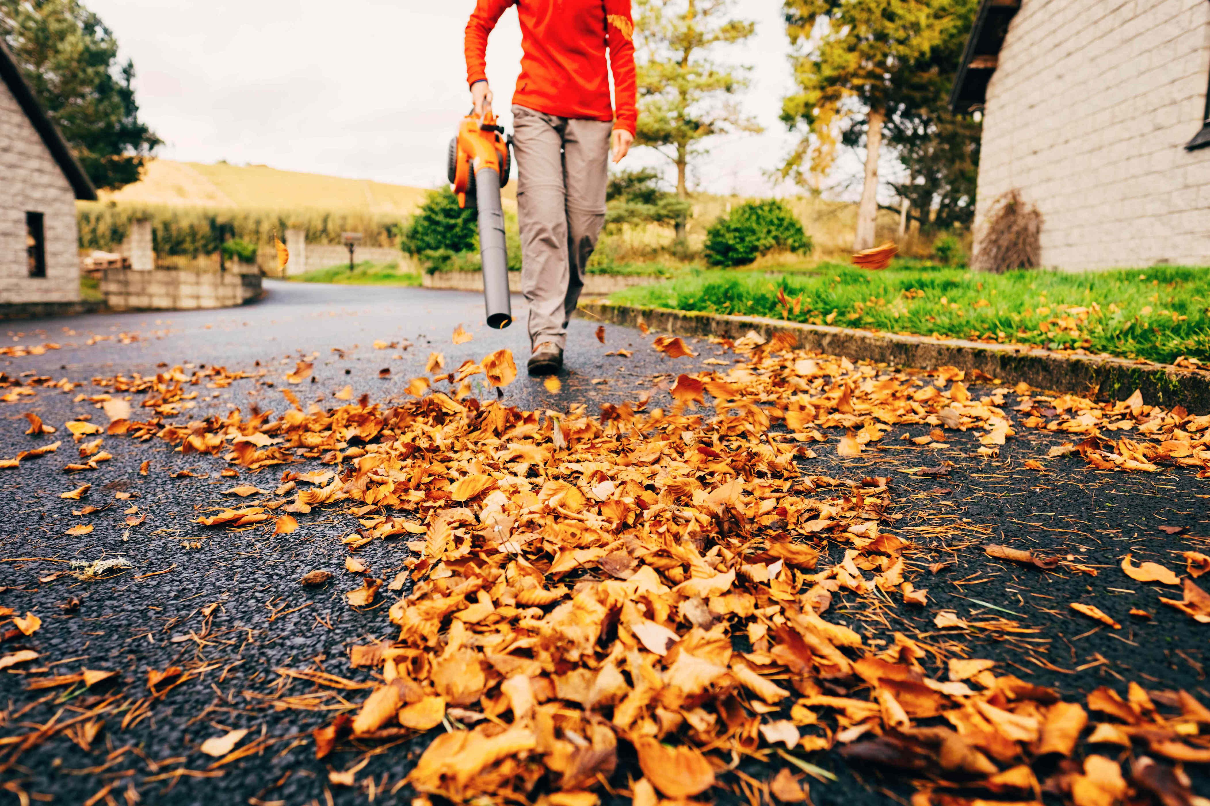Leaf Blower or Rake: Which Is Better for Tackling Fall Leaves?