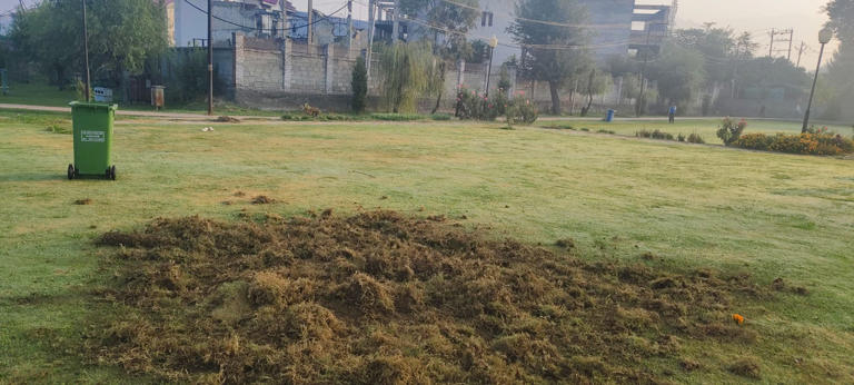 Lax Maintenance: Stray dogs dig up Joggers Park in Raj Bagh, locals ...