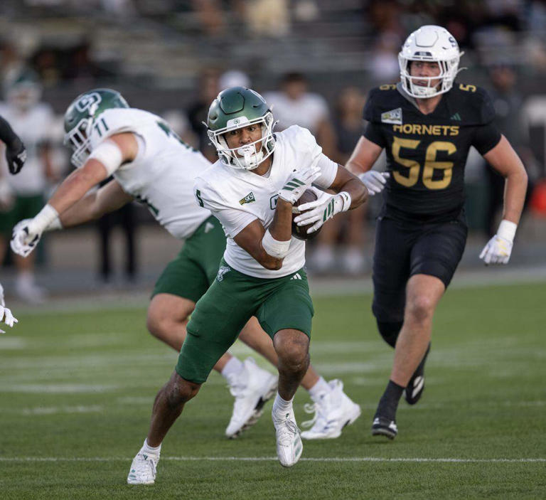 Stingers down: Cal Poly stuns Sac State as Hornets are crushed by own ...