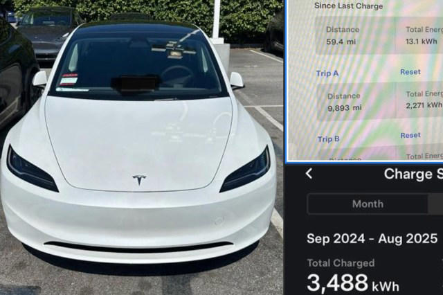 Tesla driver shares honest review after one year of owning vehicle ...
