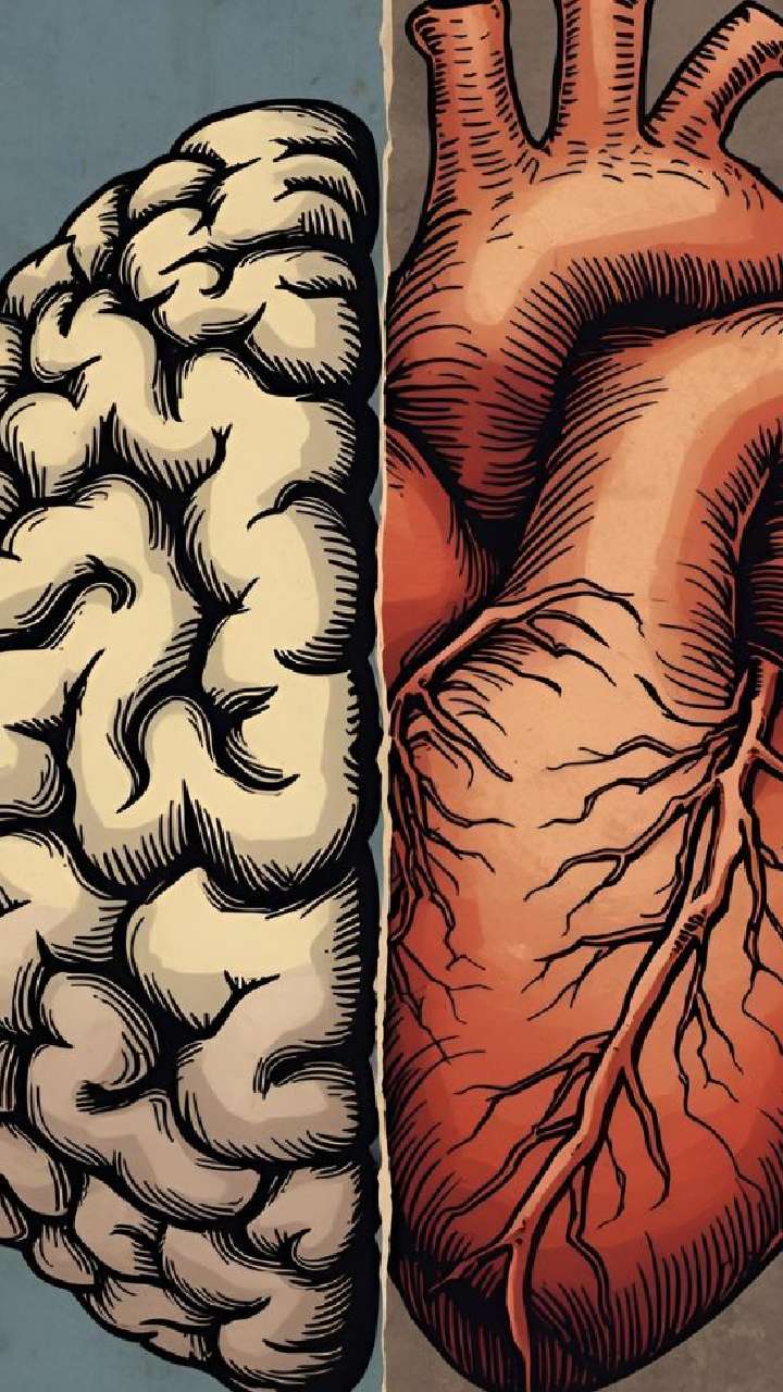 Do You Know The Difference Between IQ And EQ?